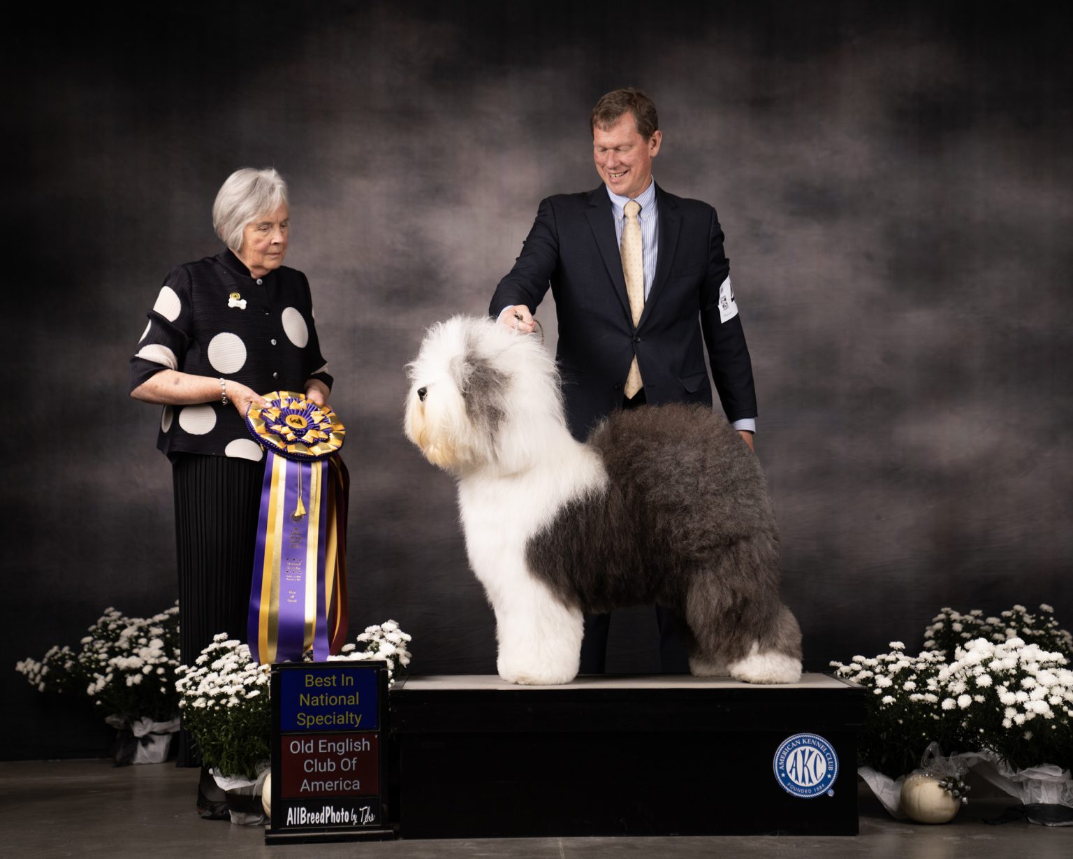 The Old English Sheepdog Club of America | OESCA